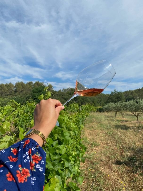 Why biodynamic winemaking is a gateway to unlocking amazing wine flavo – BONDLE